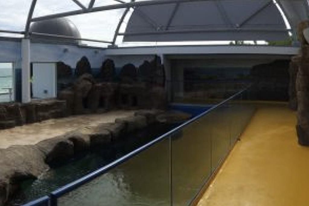 Bournemouth Penguin Enclosure - ESG Glass